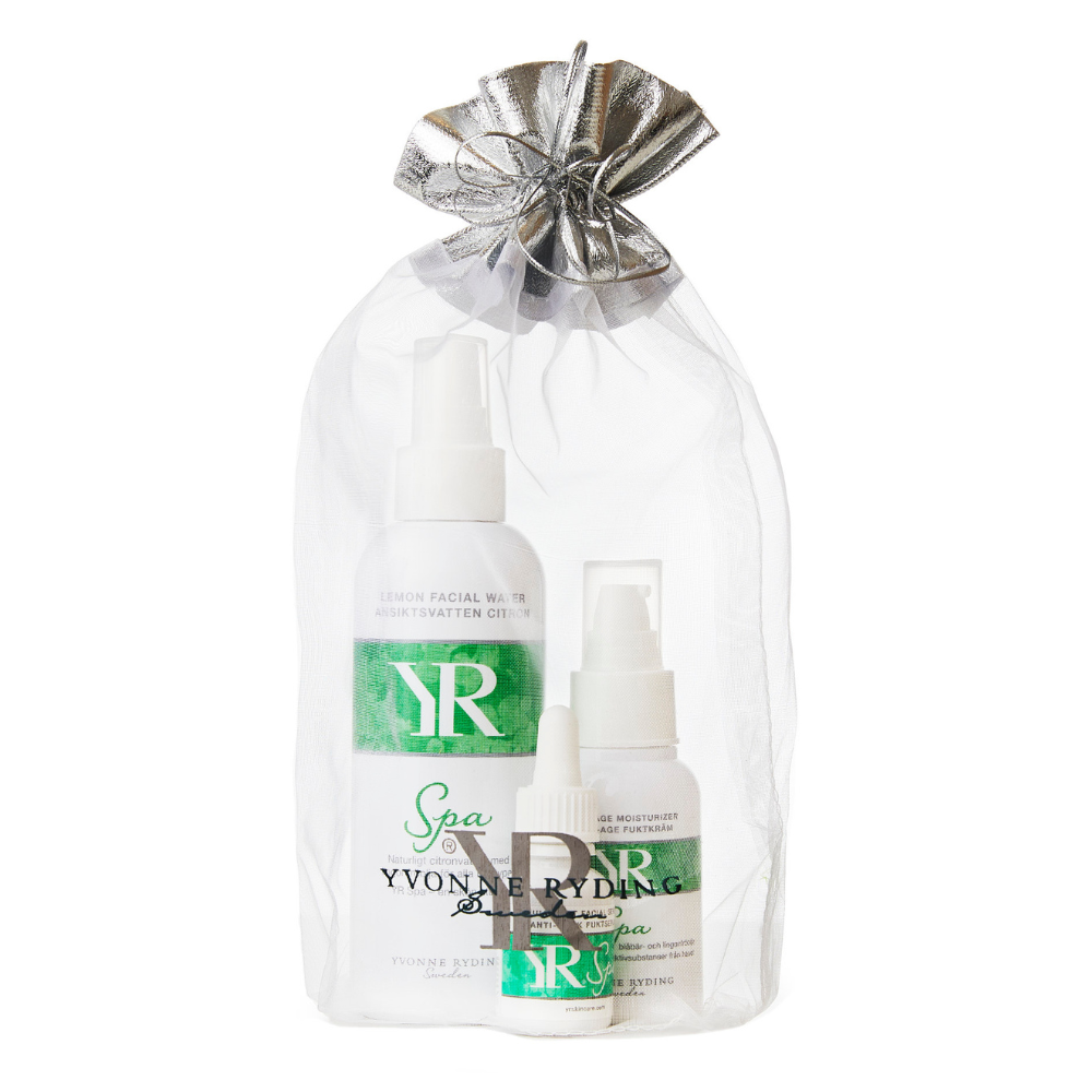 YR Christmas Gift Kit – YR Skincare